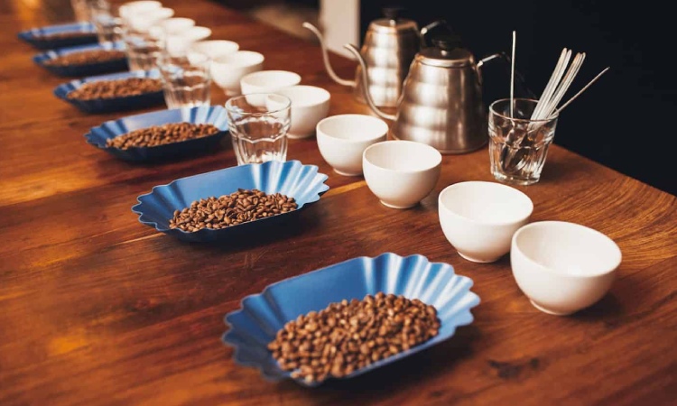 Mengenal Karakter Rasa Kopi, Apa Saja Macamnya? - Aman Kuba Coffee
